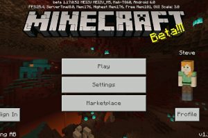 Download Minecraft 1.17 Free - Bedrock Edition 1.17 APK