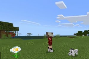 Download People Mod for Minecraft PE: different characters