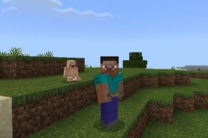 Download People Mod for Minecraft PE: different characters