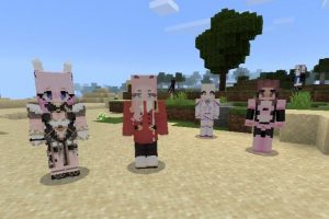 Download People Mod for Minecraft PE: different characters
