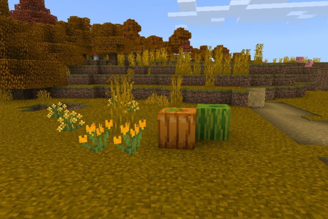 Download Autumn Texture Pack for Minecraft PE: bright colors of nature