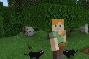Download Minecraft PE Mods: Best Mods for Minecraft Bedrock Edition