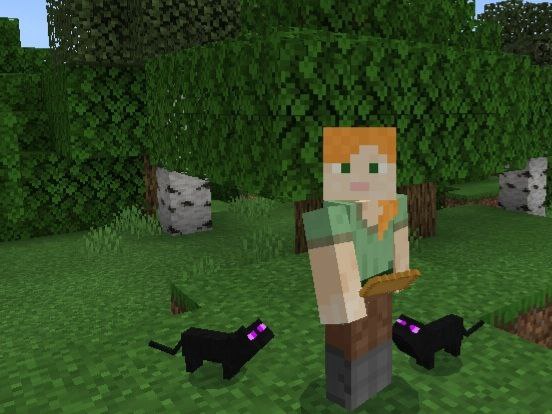 Download Cats Mod for Minecraft PE: large and small pets