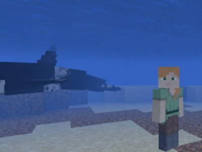 Download Whale and Killer Whale Mod for Minecraft PE