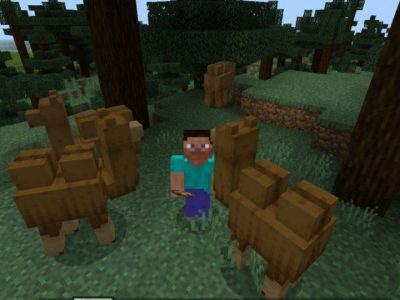 Download Birds Mod for Minecraft PE: bright animal