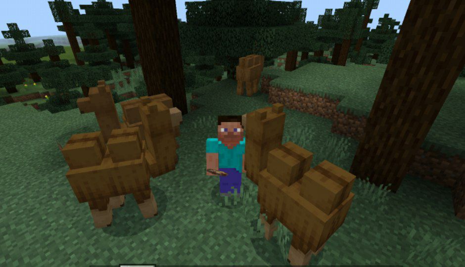 Download Camel Mod for Minecraft PE: a New Friend