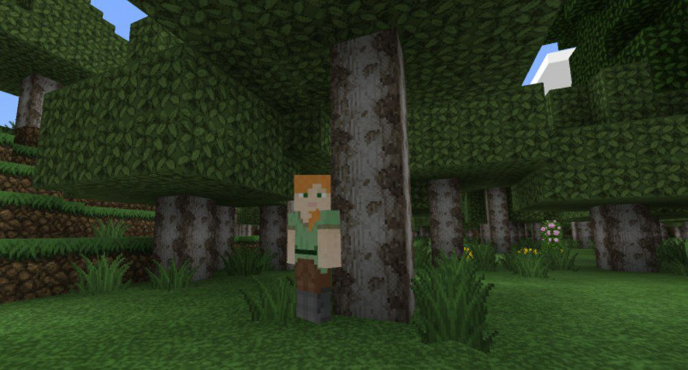 Download John Smith Texture Pack for Minecraft PE: Medieval style