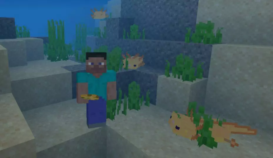 Download Axolotl Mod for Minecraft PE: useful helpers