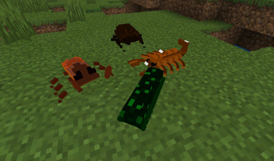 Download Cockroach Mod for Minecraft PE: new inhabitants