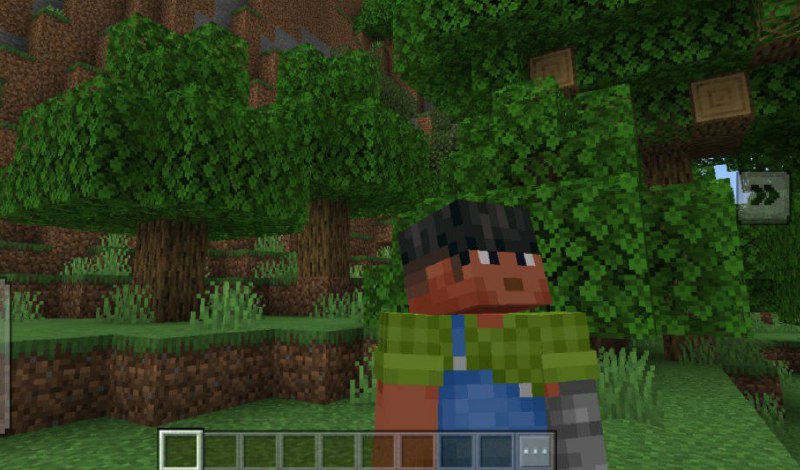 Download Third Person Camera Mod for Minecraft PE: unusual features