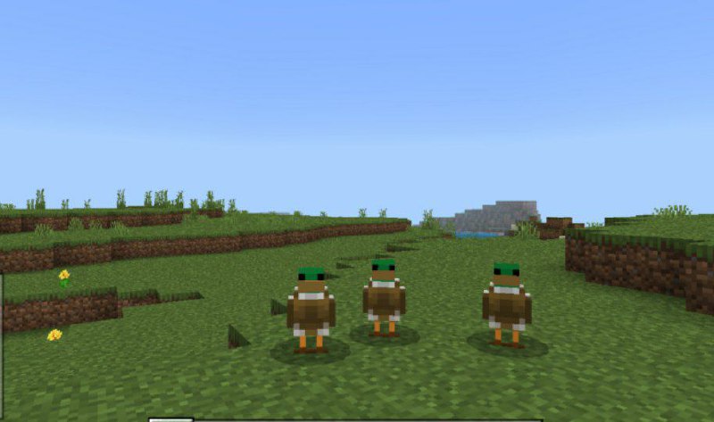 Download Duck Mod for Minecraft PE: waterfowl creatures