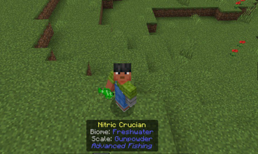 Download Fishing Mod for Minecraft PE: catch your dream