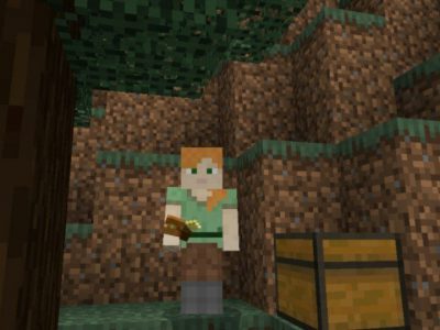Download Sodium Mod for Minecraft PE: improve productivity
