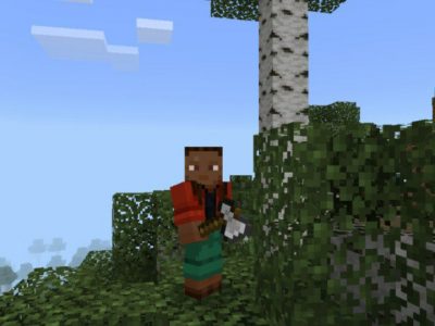 Download Waypoint Mod for Minecraft PE: teleportation capabilities