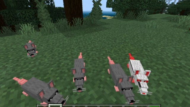 Download Mouse Mod for Minecraft PE: Mouse Mod for Minecraft Bedrock ...