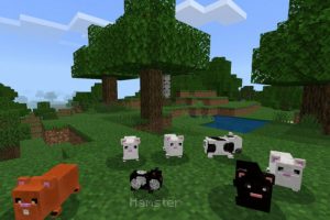 Download Animal Mod for Minecraft PE: new friends