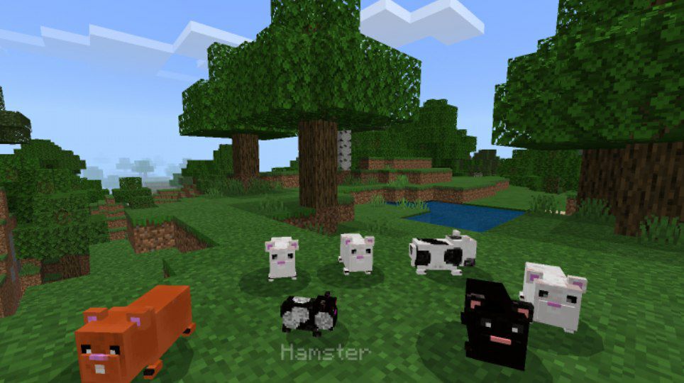 Download Hamster Mod for Minecraft PE: Hamster Mod for Minecraft ...