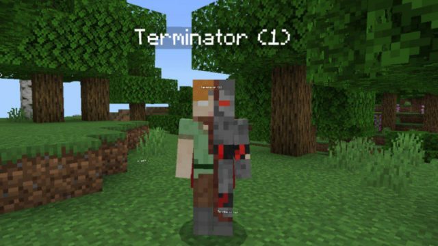 Download Terminator Mod for Minecraft PE: Terminator Mod for Minecraft ...