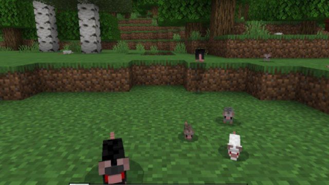 Download Mouse Mod for Minecraft PE: Mouse Mod for Minecraft Bedrock ...