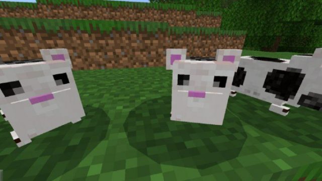 Download Hamster Mod for Minecraft PE: Hamster Mod for Minecraft ...