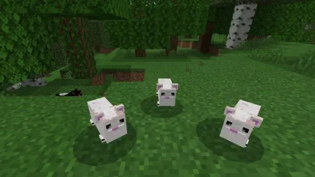 Download Hamster Mod for Minecraft PE: Hamster Mod for Minecraft ...