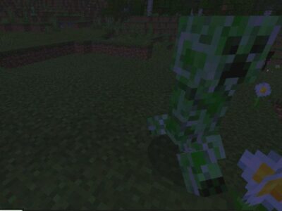 Download Seus Shader for Minecraft PE: Make the world realistic