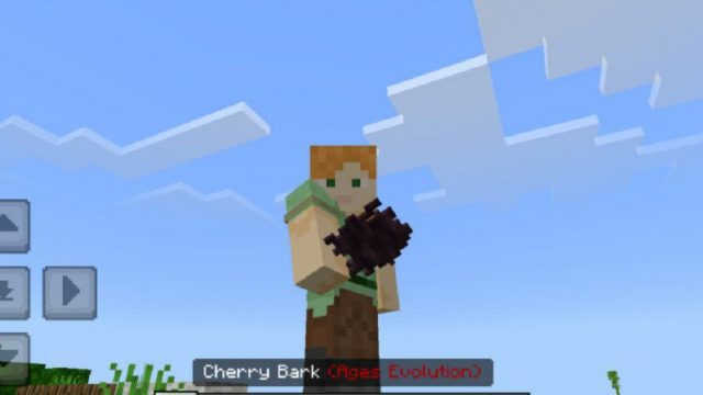 Download Ages Evolution Mod for Minecraft PE: Ages Evolution Mod for ...