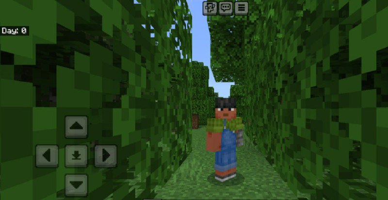 Download Day Counter Mod for Minecraft PE: Day Counter Mod for ...