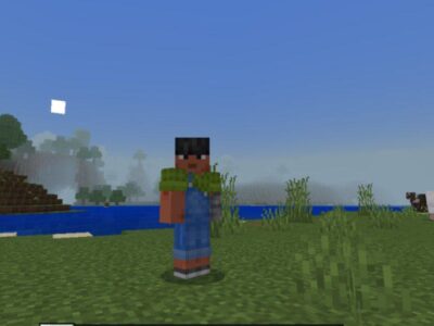 Download Seus Shader for Minecraft PE: Make the world realistic
