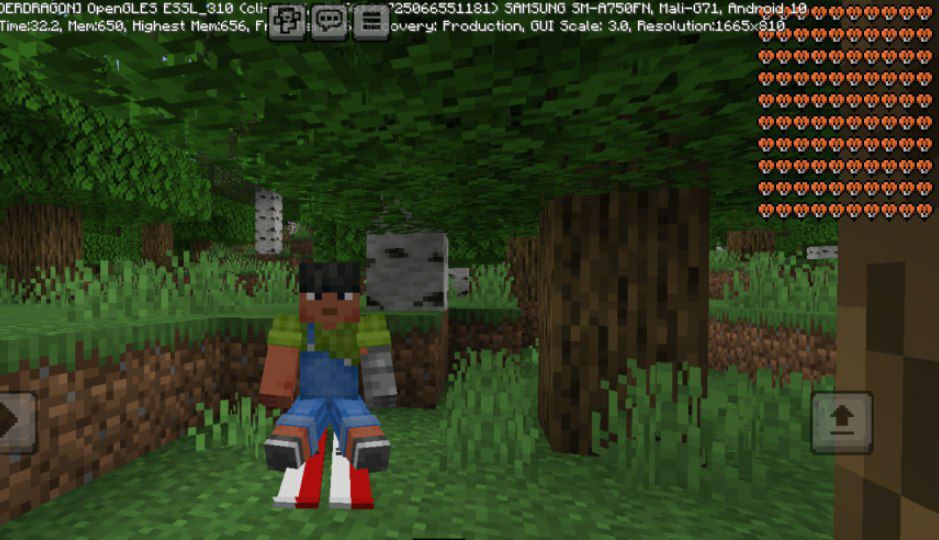 Download Ski Mod for Minecraft PE: Ski Mod for Minecraft Bedrock Edition