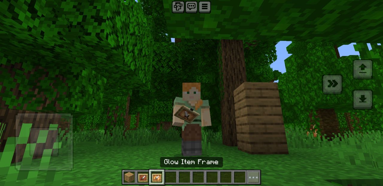 Download Easy Invisible Frames Texture Pack for Minecraft Bedrock