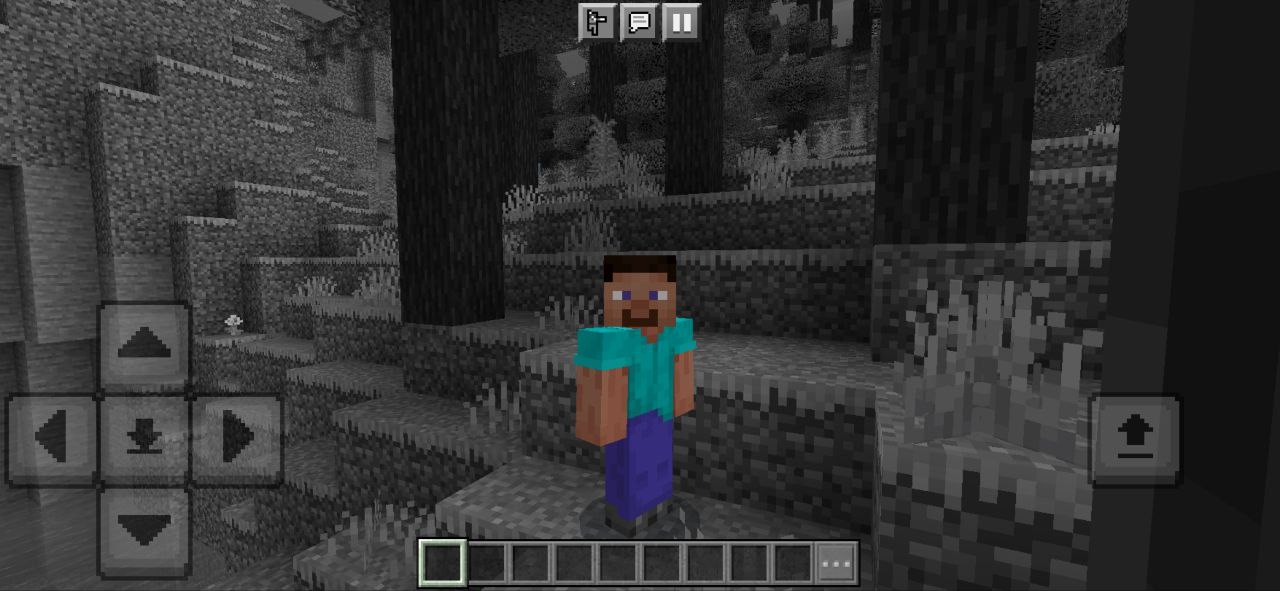 Download Monochrome Texture Pack for Minecraft Bedrock Edition