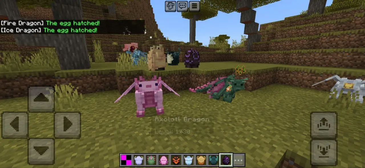 Download Train Your Dragon Mod for Minecraft Bedrock Edition