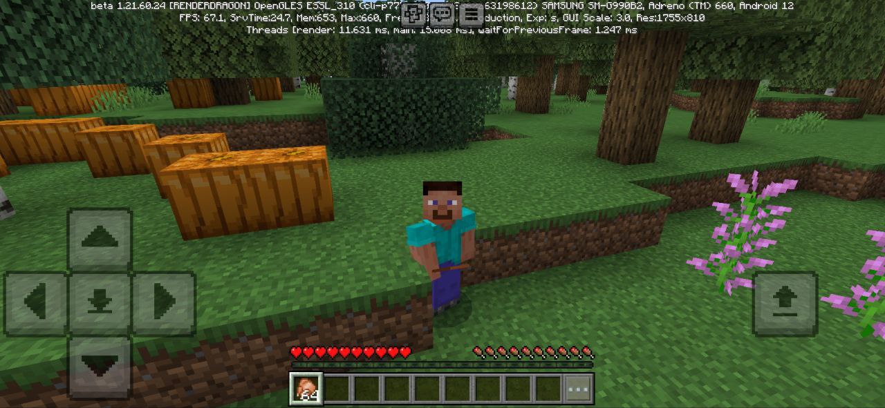 Download Appleskin Mod for Minecraft Bedrock Edition