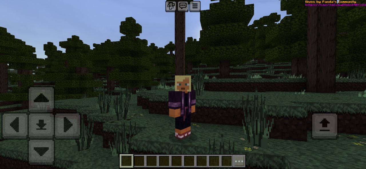 Download Realism Shades Texture Pack for Minecraft Bedrock Edition