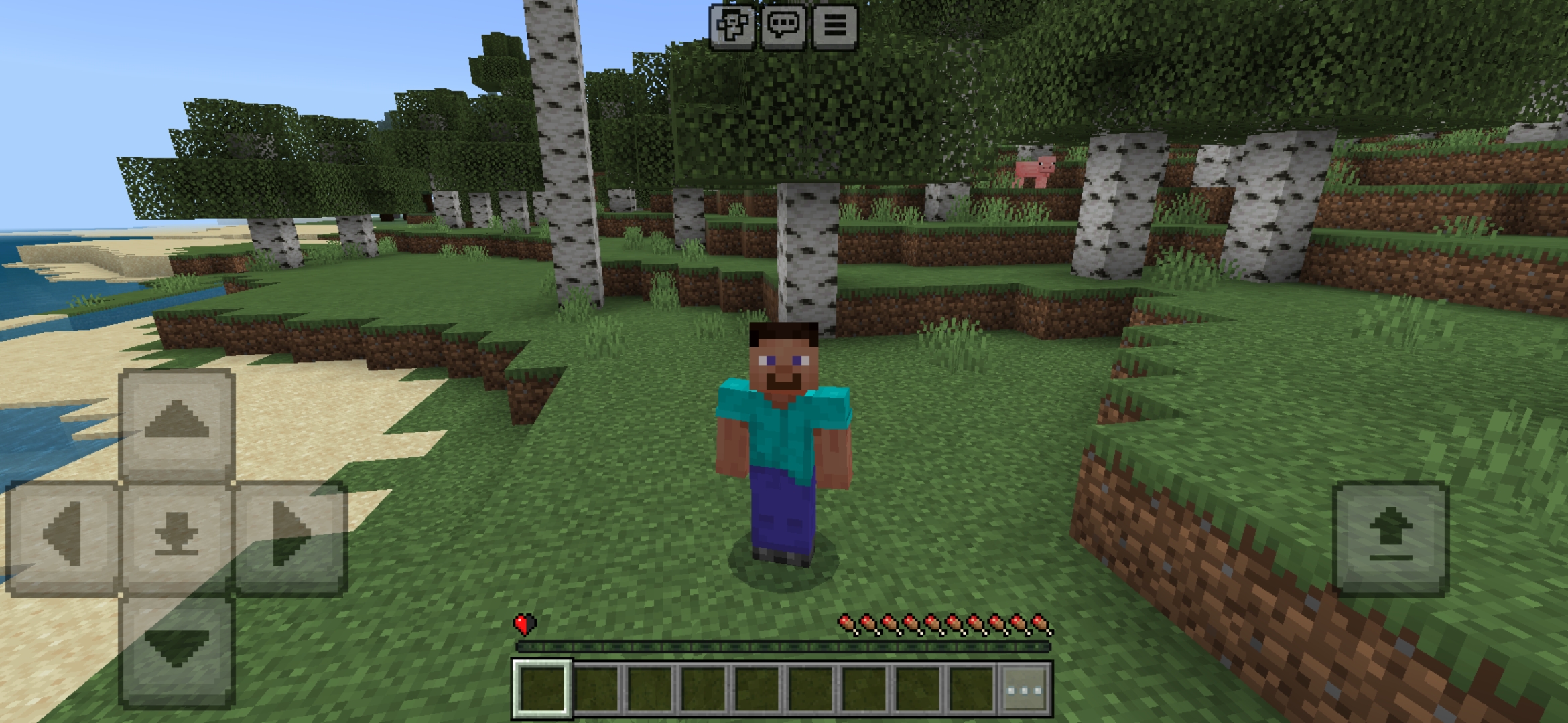 Download Chaos Mod for Minecraft Bedrock Edition