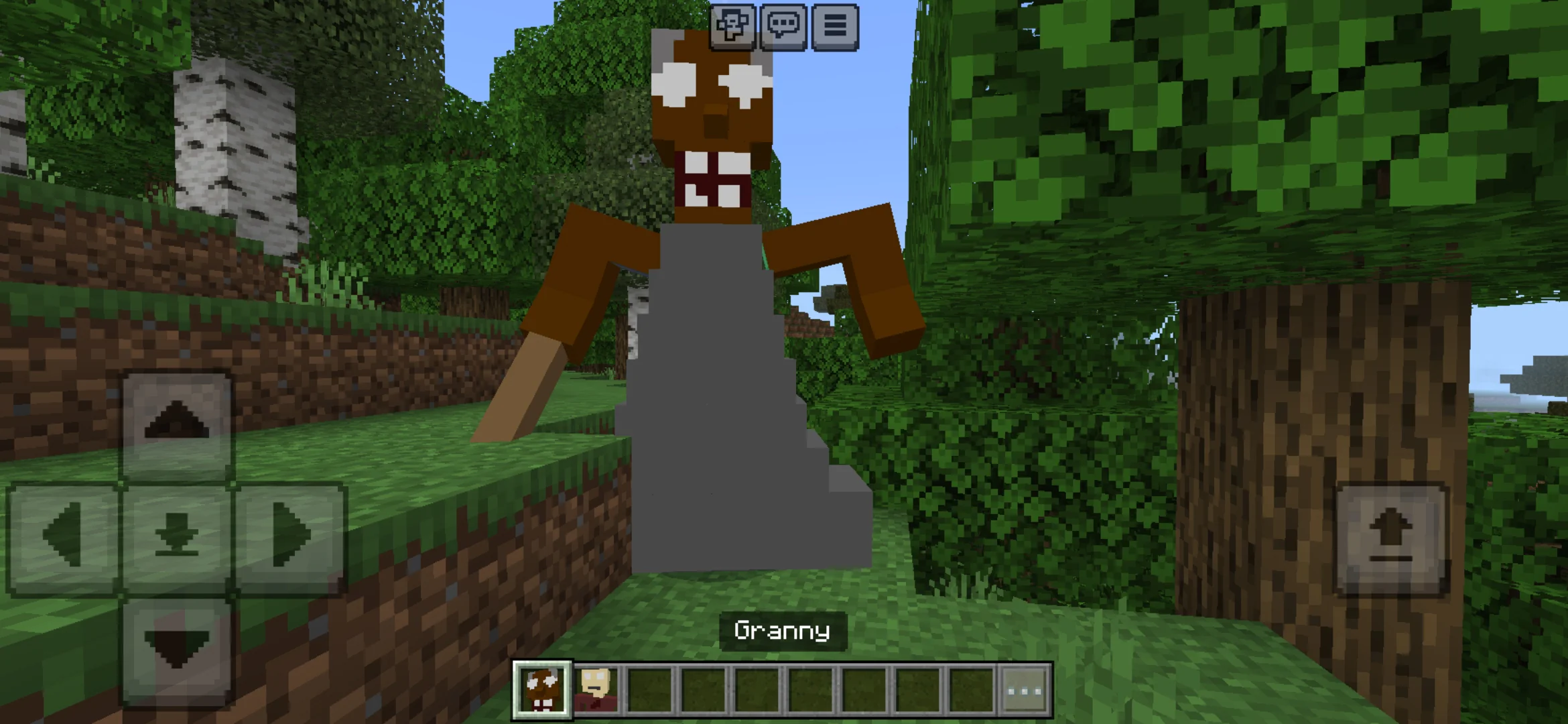 Download Granny Mod for Minecraft Bedrock Edition
