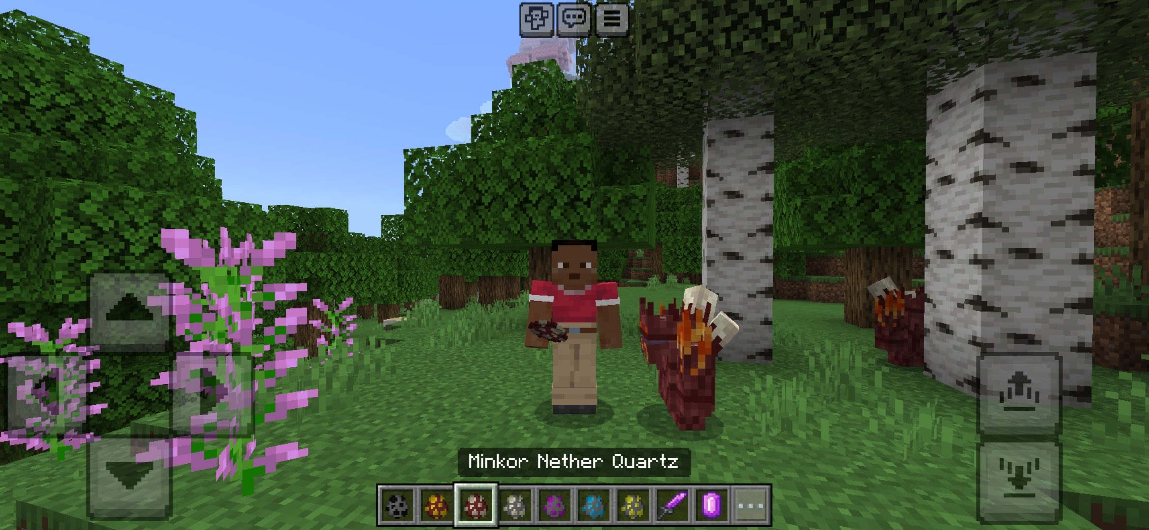 Download Minkors Mod for Minecraft Bedrock Edition