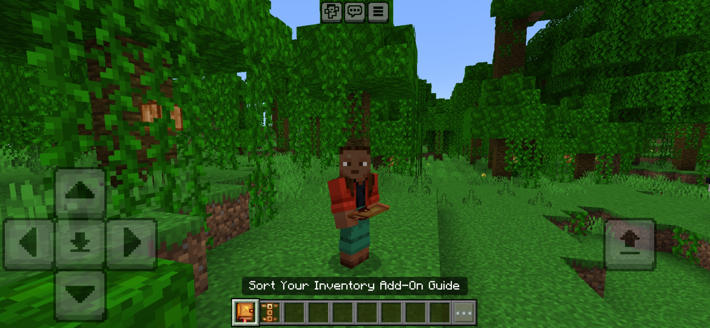 Download Sort Your Inventory Mod for Minecraft Bedrock Edition