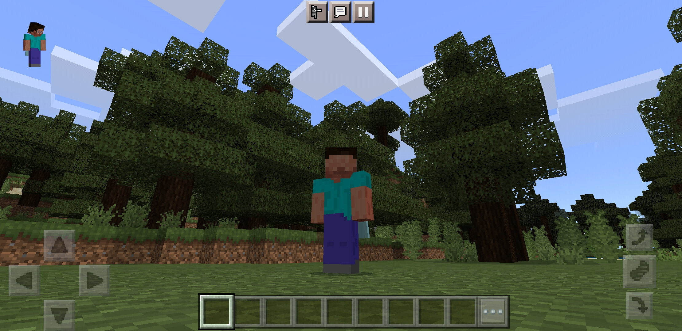 Download Stay True Texture Pack for Minecraft Bedrock Edition