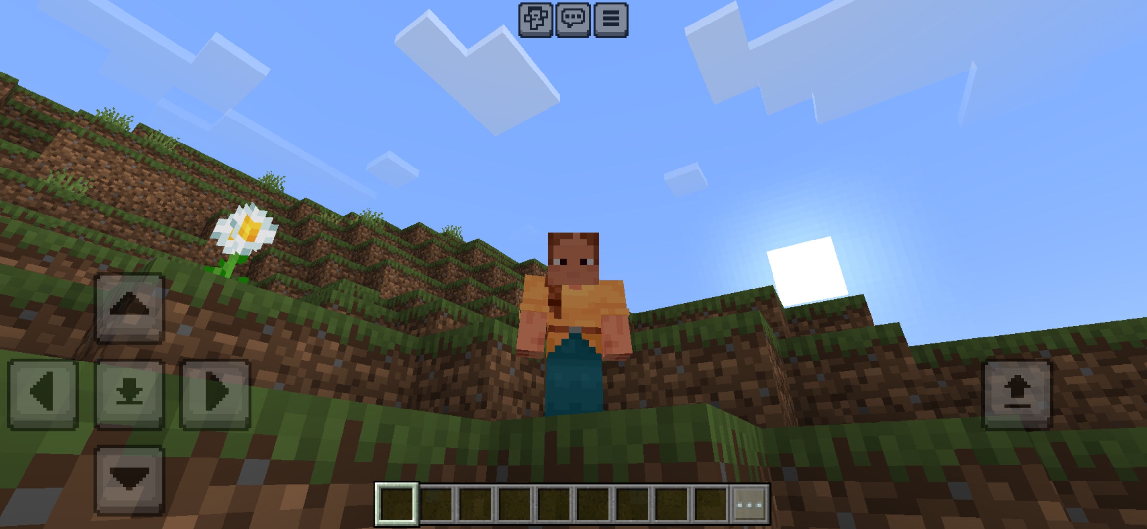 Download Beta Hider Texture Pack for Minecraft Bedrock Edition