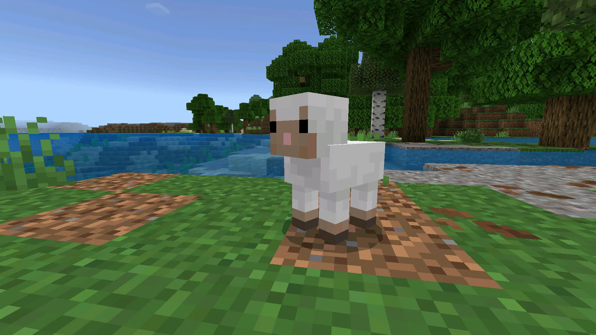 Download Minecraft 26.2 / 1.26.2 APK free android stable version